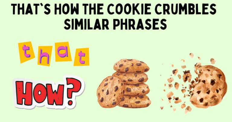 35+ That's How the Cookie Crumbles Similar Phrases | Good or Bad